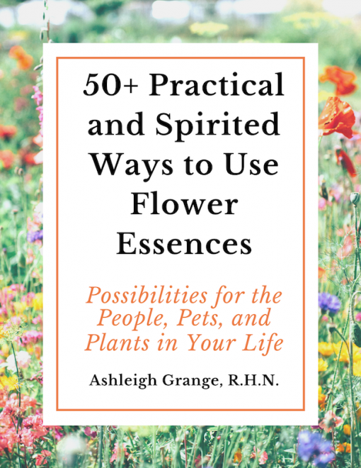 How to Use Flower Essences FREE guide - Inner Plant Wisdom