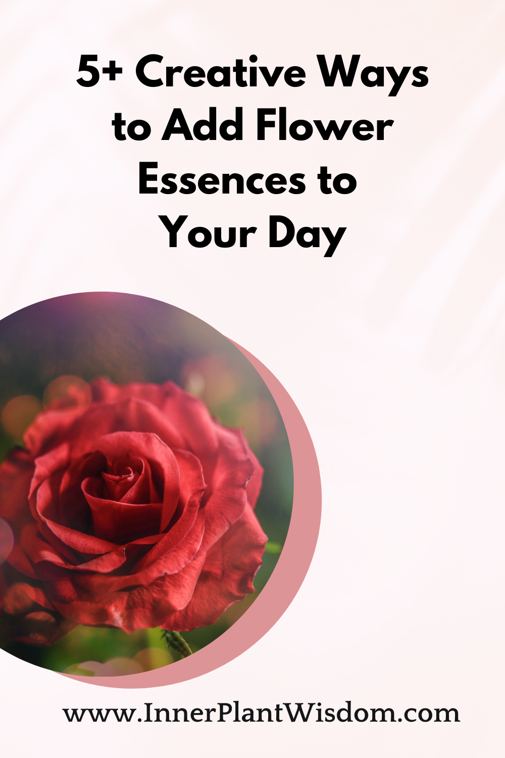 5+ Creative Ways to Add Flower Essences to Your Day - Inner Plant Wisdom